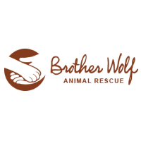 Job Listings - Brother Wolf Animal Rescue Inc Jobs